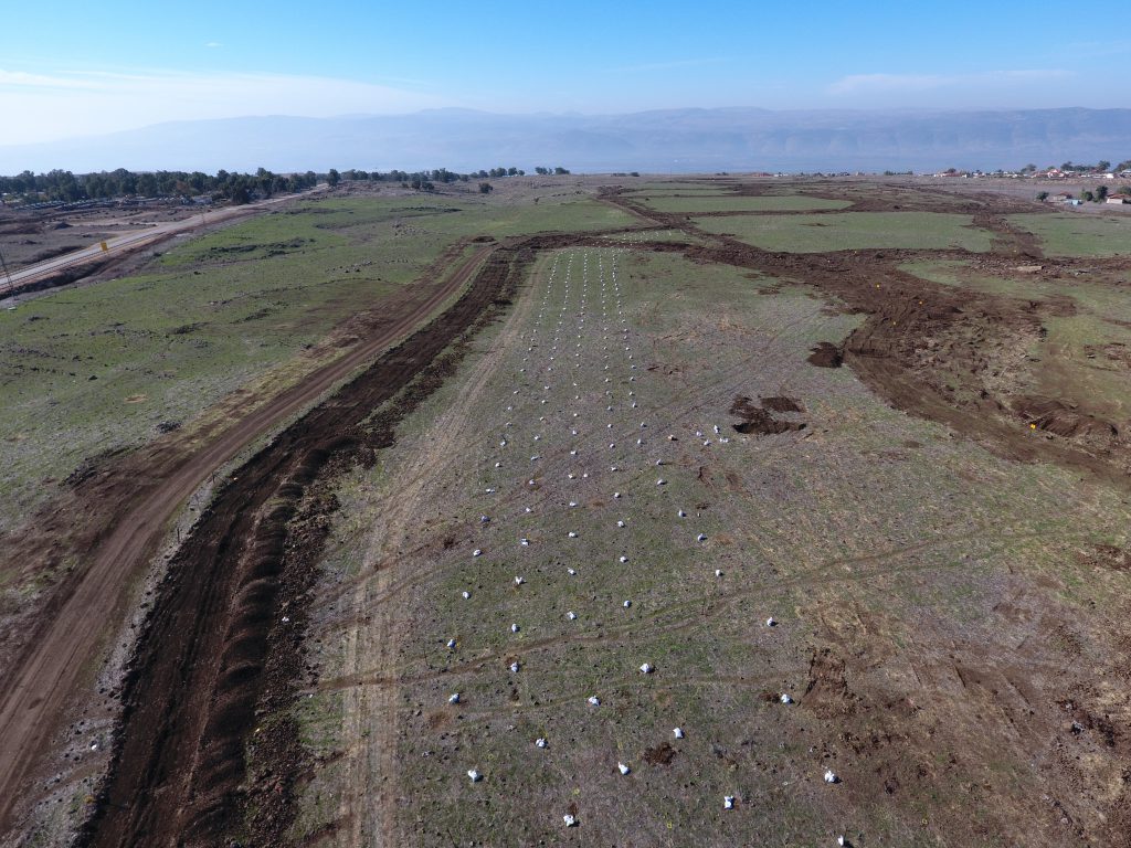 Trump Heights - I.E.O.D